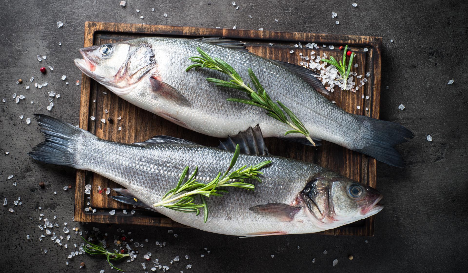 Een dode vis vertelt niks na | KRO-NCRV