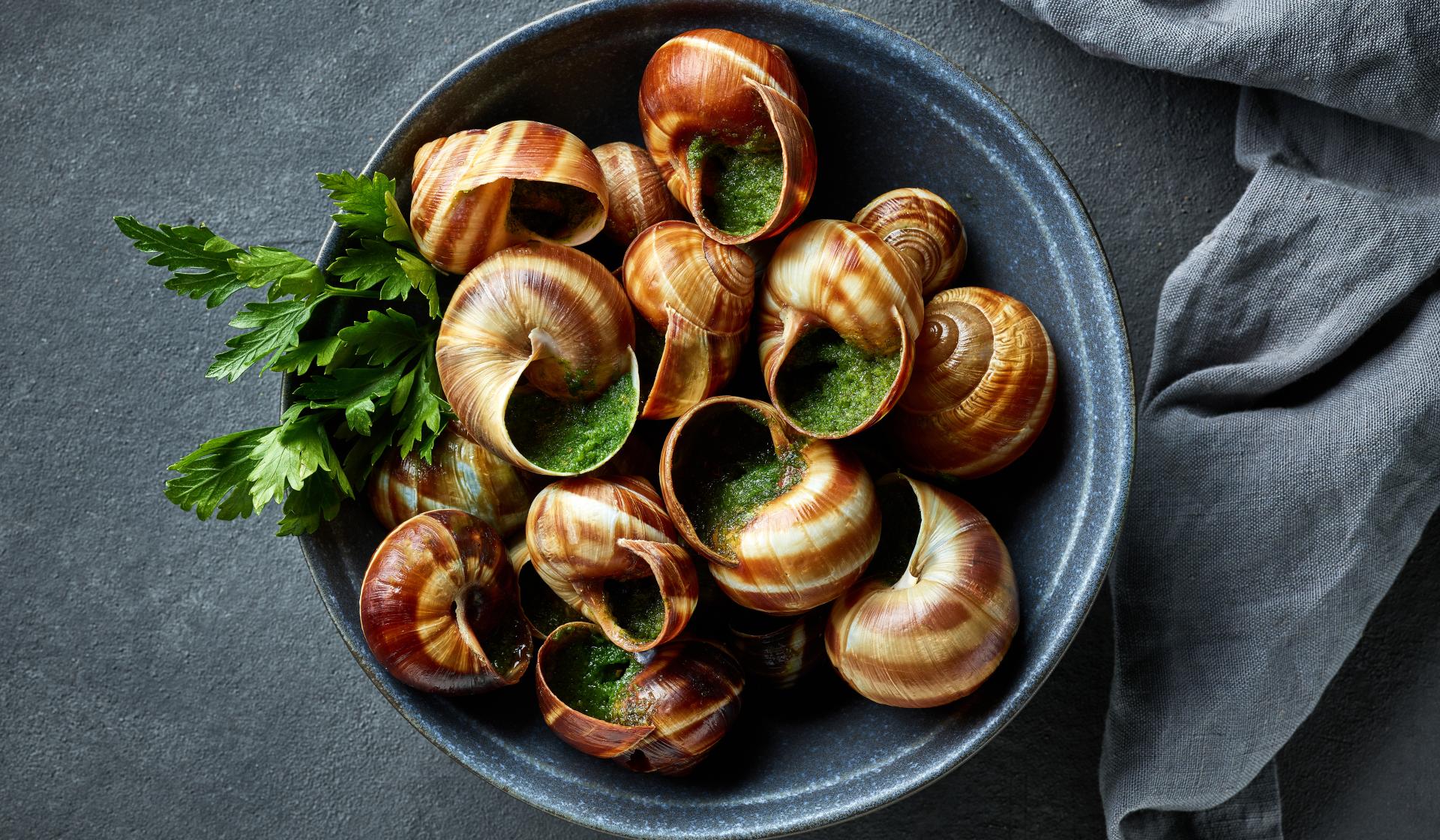 Welke slakken eet je als je escargots bestelt? | KRO-NCRV