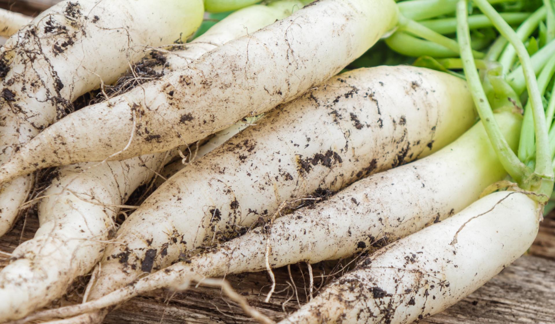 Wat voor groente is rettich en kun je het rauw eten? | KRO-NCRV