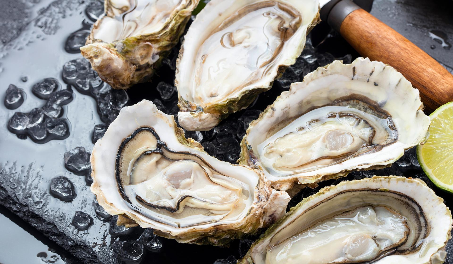 Leven oesters nog als je ze eet? | KRO-NCRV
