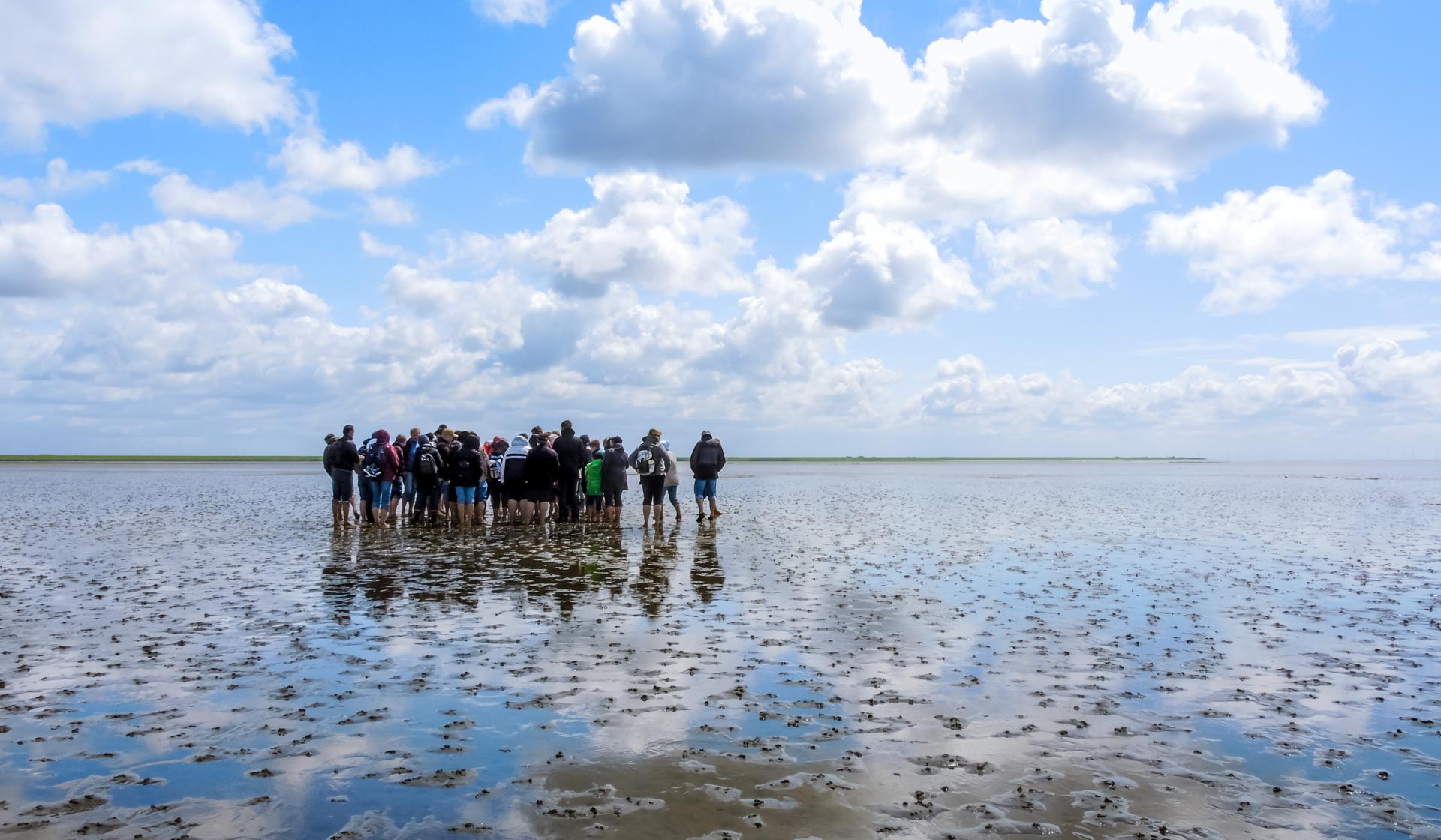 Wadlopen voor beginners: zo bereid je je voor op je eerste tocht | KRO-NCRV