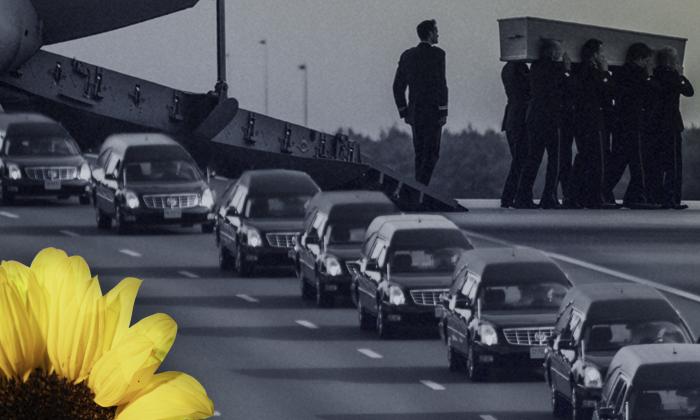 De echo van MH17 | KRO-NCRV