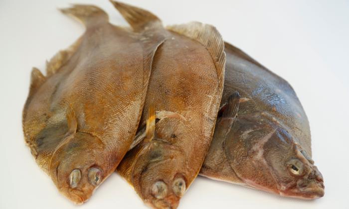 120 dode vissen voor één portie sliptong: slippertje of niet? | KRO-NCRV