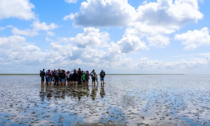 Wadlopen voor beginners: zo bereid je je voor op je eerste tocht | KRO-NCRV