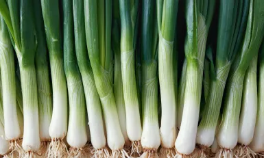 Met dit recept maak je zelf de lekkerste kaassoufflés | KRO-NCRV